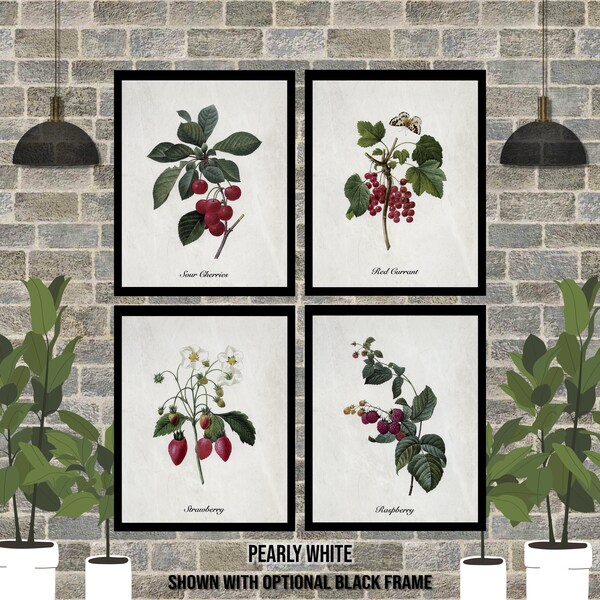 Red Berry Print - Etsy