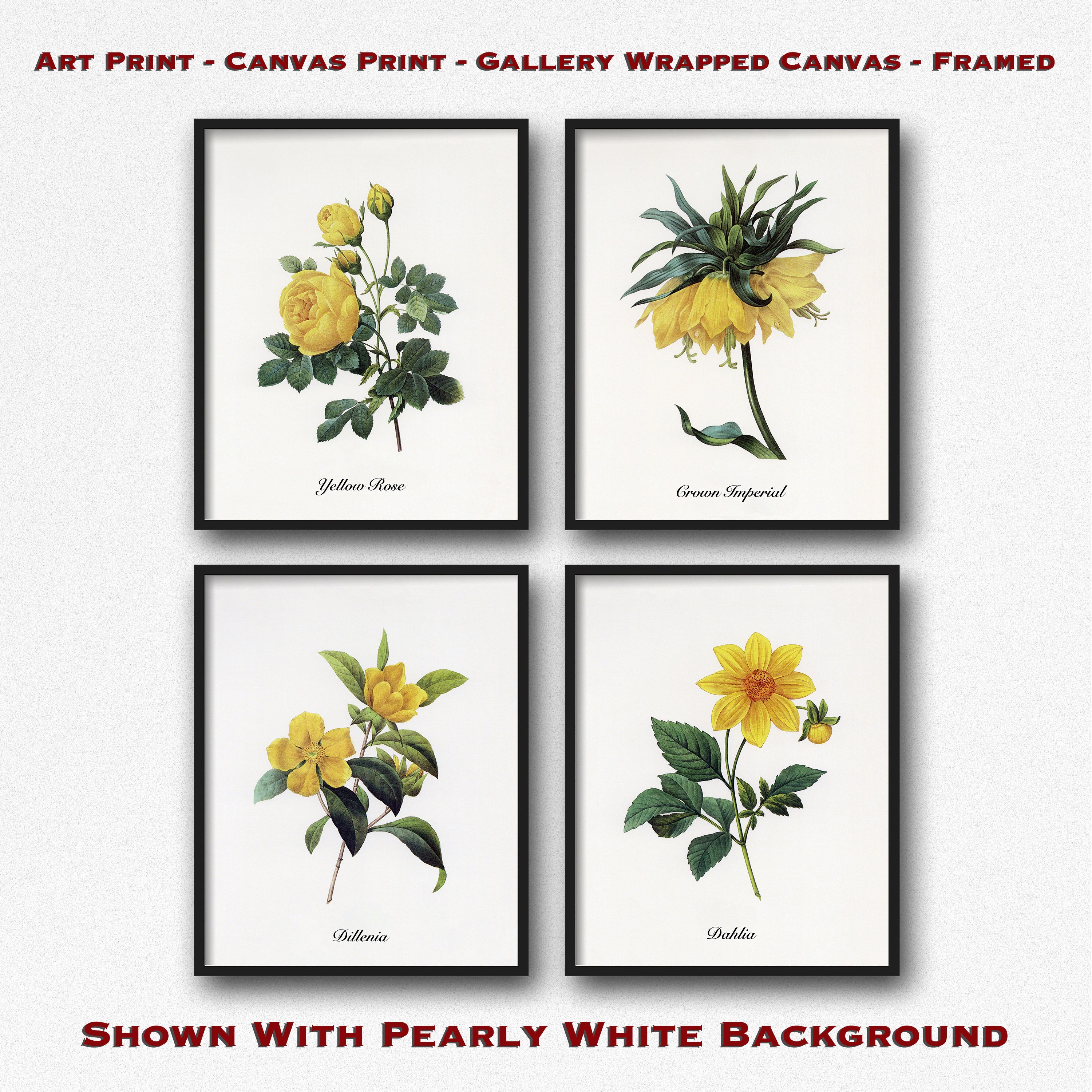 Yellow Botanical Print Set Yellow Flower Set of 4 Botanical | Etsy