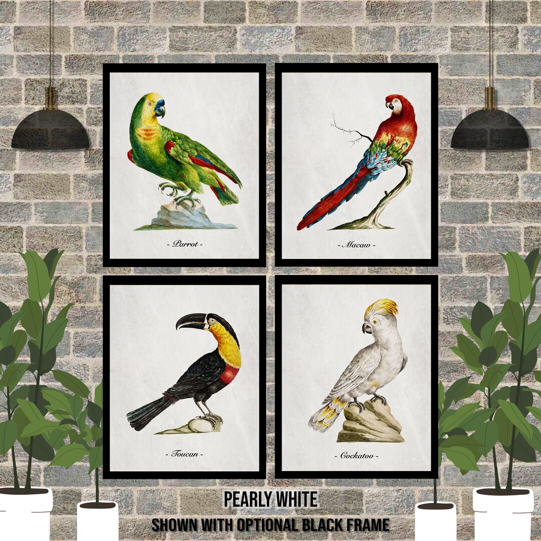 Tropical Bird Print Set of 4 Set of 4 Tropical Bird Prints - Etsy