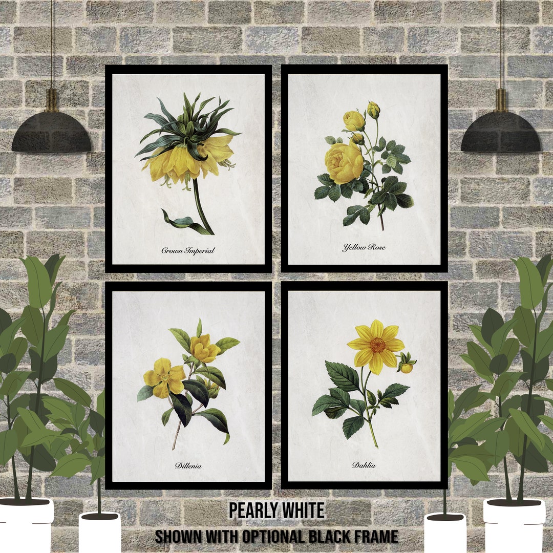 Yellow Botanical Print Set Yellow Flower Set of 4 Botanical - Etsy