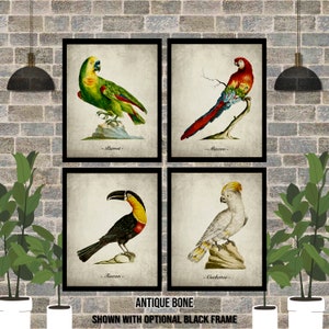 Tropical Bird Print Set of 4 Set of 4 Tropical Bird Prints - Etsy