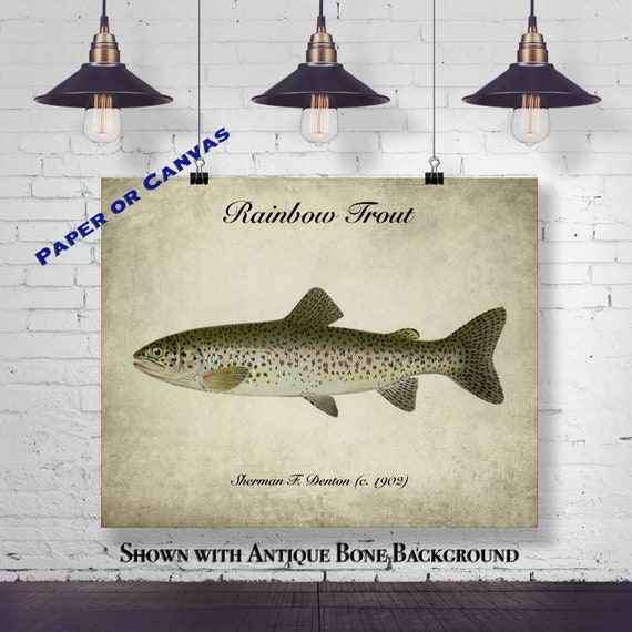 Rainbow Trout Art Print Denton Fish Print Reproduction | Etsy