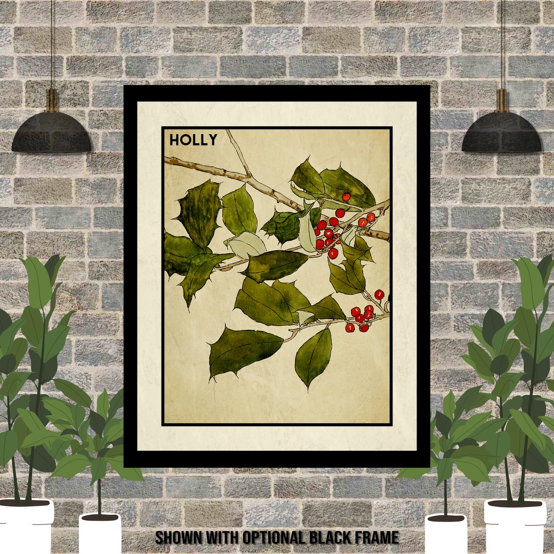 Holly Art Print Hannah Overbeck Artwork Watercolor - Etsy