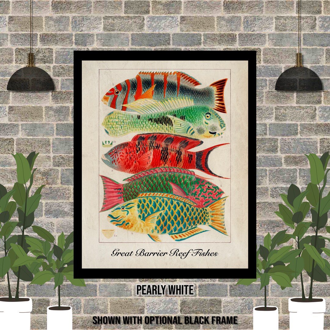 Great Barrier Reef Fishes Art Print Fish Wall Art Aquatic Decor William ...