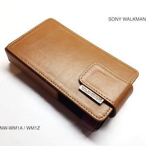 Sony Walkman NW-WM1A / WM1Z Leather Case - Etsy