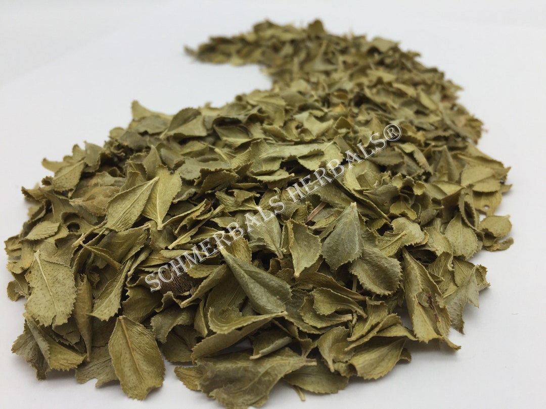 Buchu Leaf, Agathosma Betulina, All Natural ~ Schmerbals Herbals® - Etsy