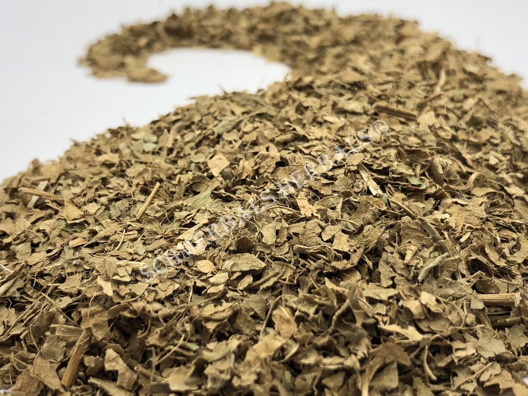 Bay Bean, Canavalia Maritima, All Natural Leaves ~ Schmerbals Herbals ...