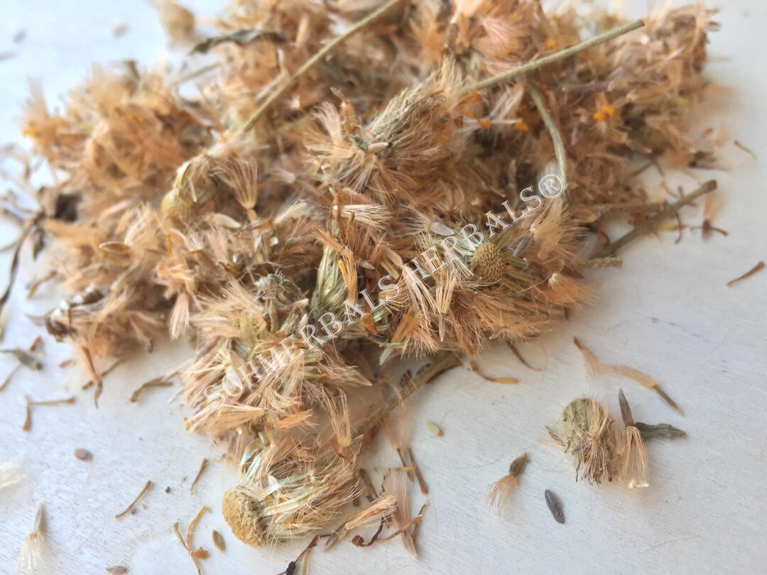 Arnica, Heterotheca Inuloides, 1 Kg Whole Flower ~ Schmerbals Herbals ...