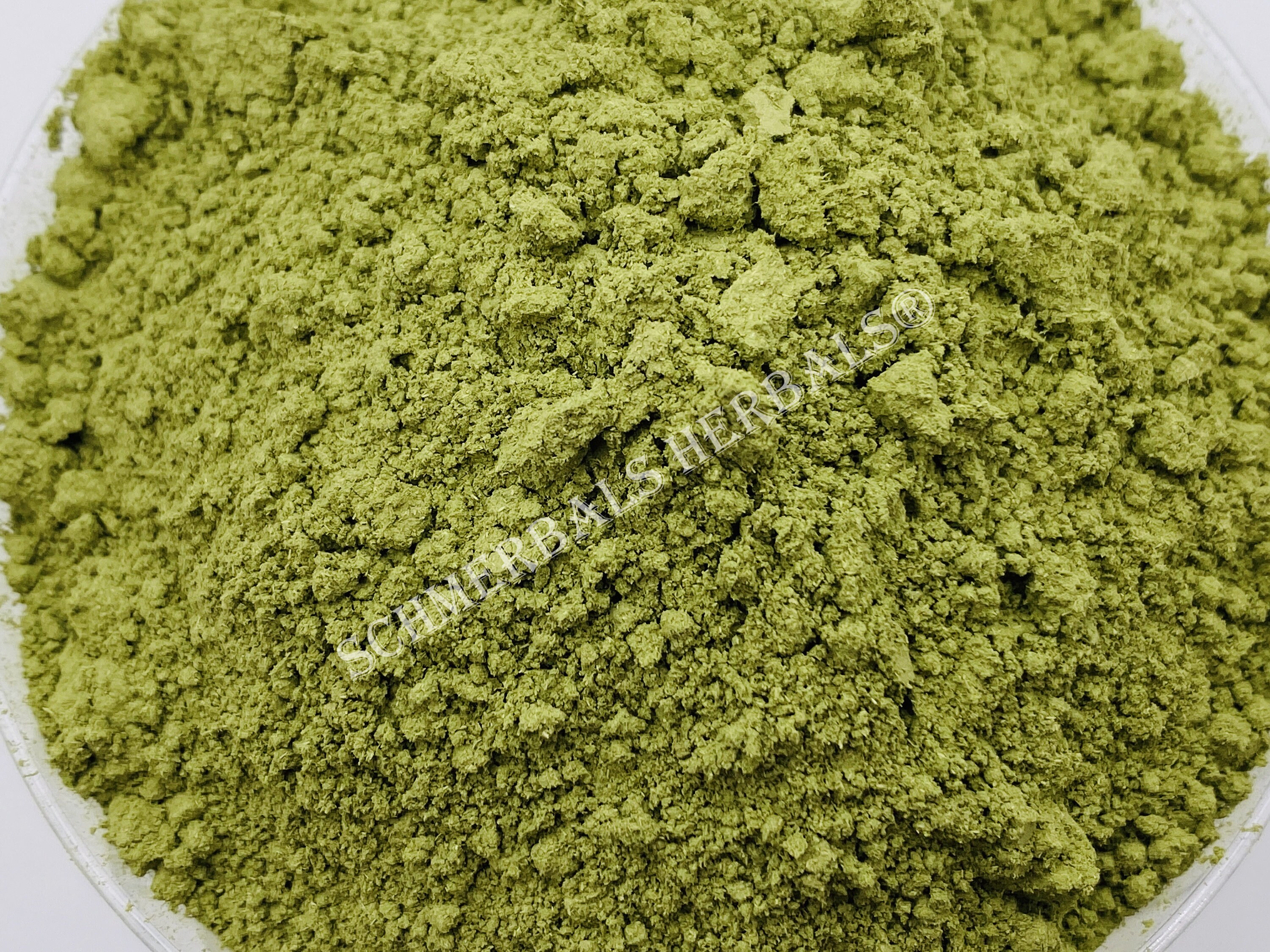 Green Chiretta, Andrographis Paniculata, All Natural Powder ...