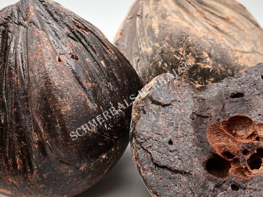 Dragons Blood, Daemonorops Draco, 1 Kg Large Chunks Schmerbals Herbals ...