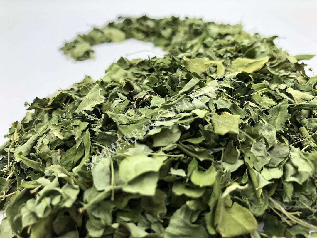 Drumstick Tree, Moringa Oleifera, All Natural Leaves ~ Schmerbals ...