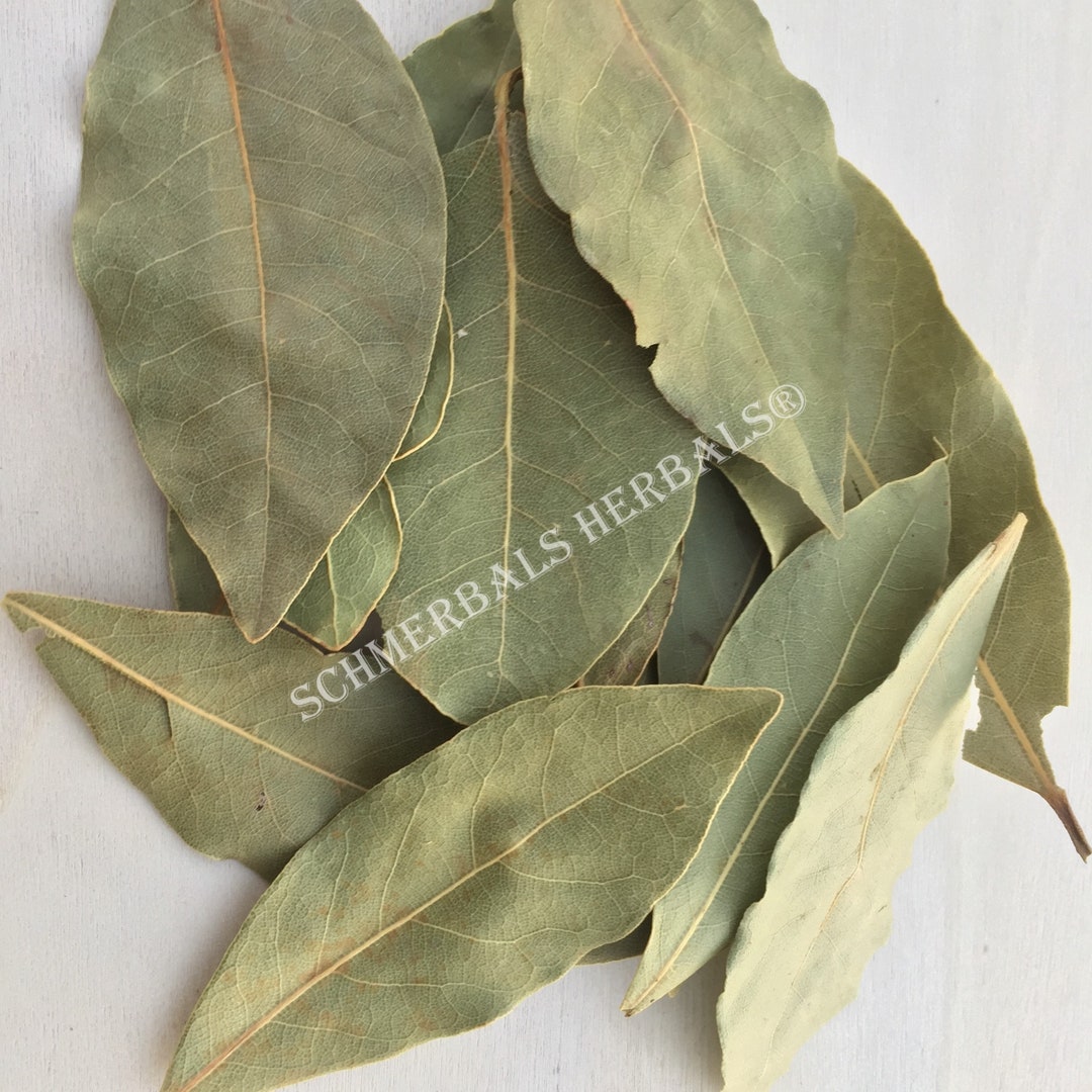 Bay, Laurus Nobilis, All Natural Whole Leaf ~ Schmerbals Herbals® - Etsy