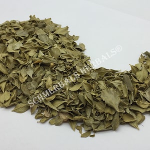 Buchu Leaf, Agathosma Betulina, All Natural ~ Schmerbals Herbals® - Etsy