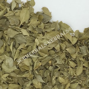 Buchu Leaf, Agathosma Betulina, All Natural ~ Schmerbals Herbals® - Etsy