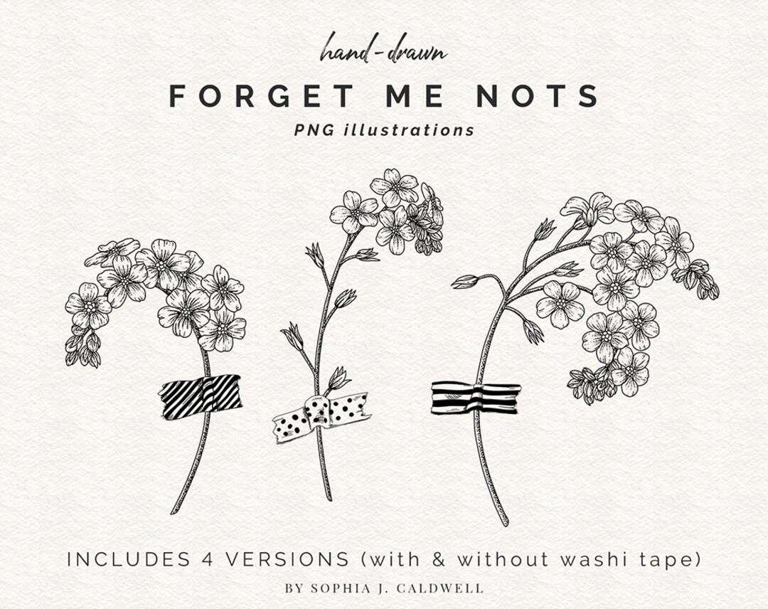 Forget Me Nots Flower Digital Stamps, Floral Clipart, Commercial Use OK ...