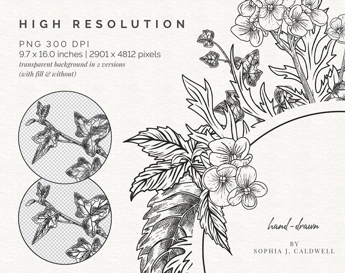 Round Digital Frame Clipart Digital Border Frame PNG Vintage | Etsy