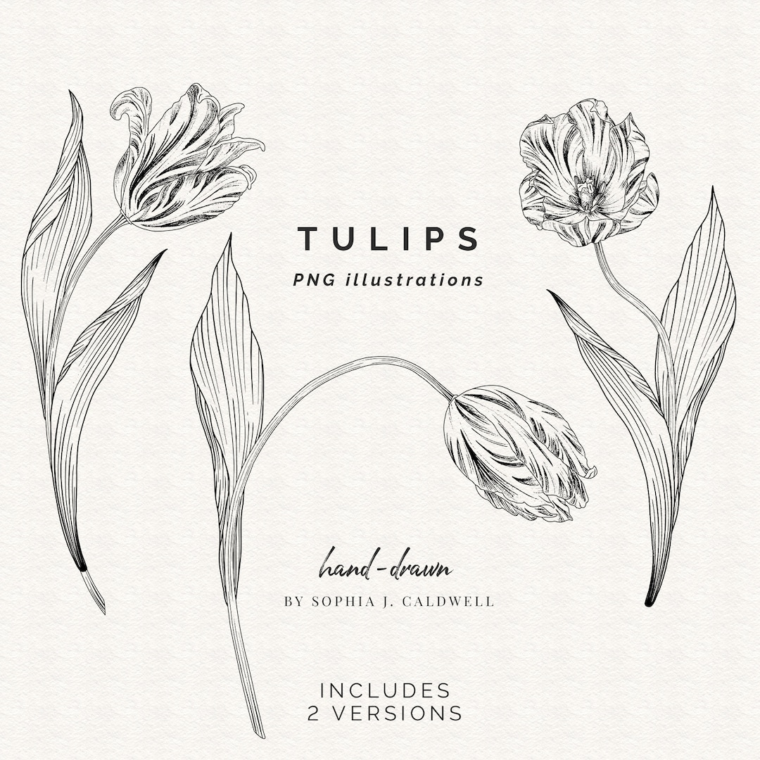 Tulips Flower Clipart, Black and White Outline, Spring Easter ...