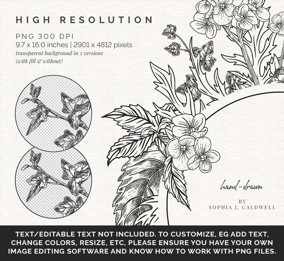 Round Digital Frame Clipart Digital Border Frame PNG Vintage - Etsy