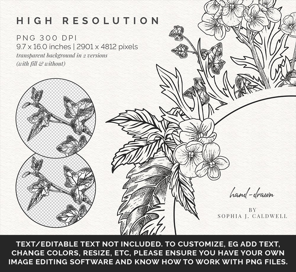 Round Digital Frame Clipart Digital Border Frame PNG Vintage - Etsy