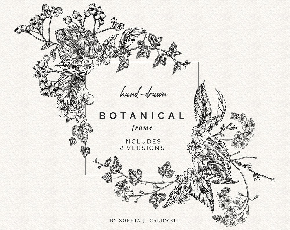 Floral Digital Border Frame Black and White Hand Drawn Flower - Etsy UK