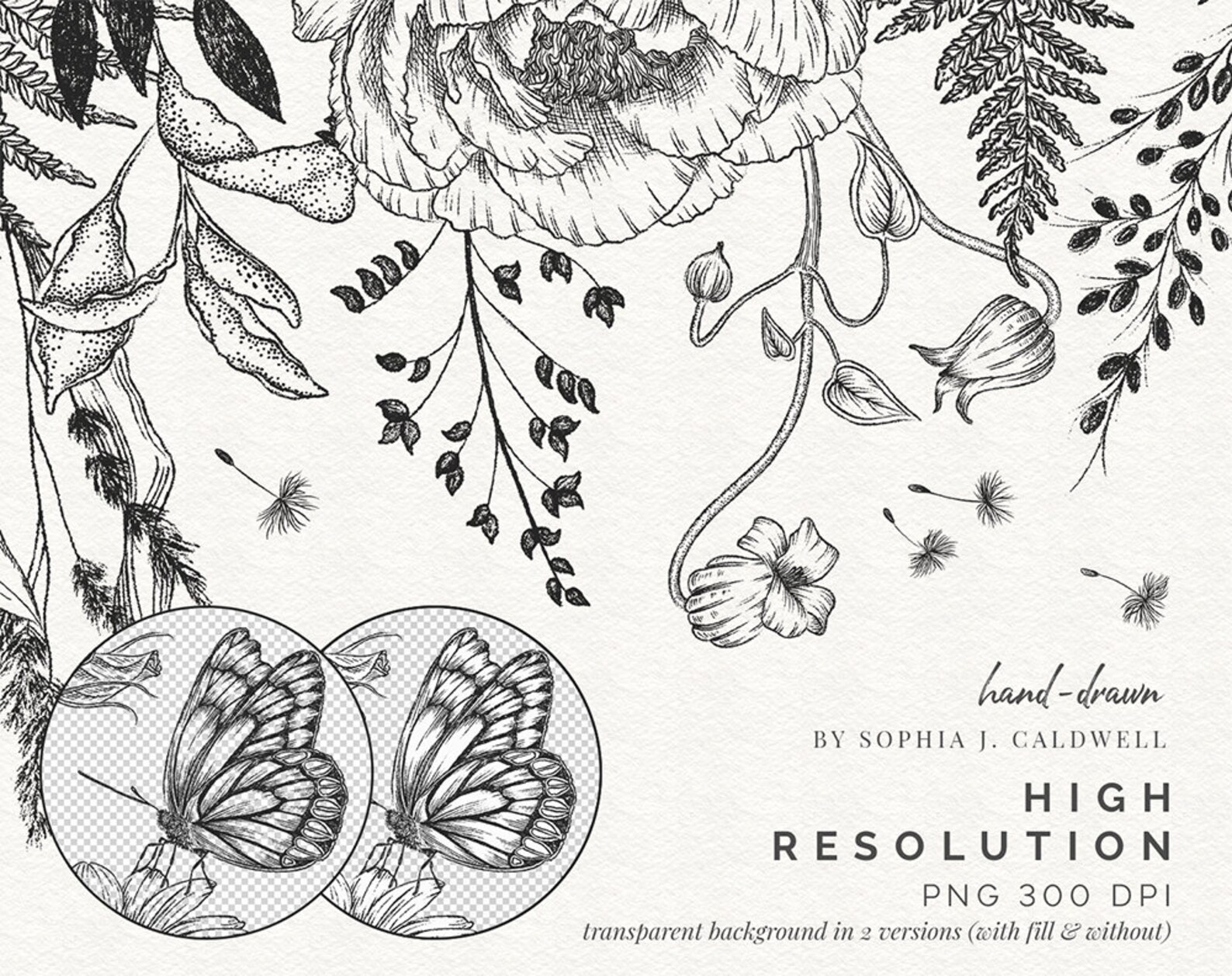 Floral Border PNG Clipart Botanical Line Drawing Frame - Etsy UK