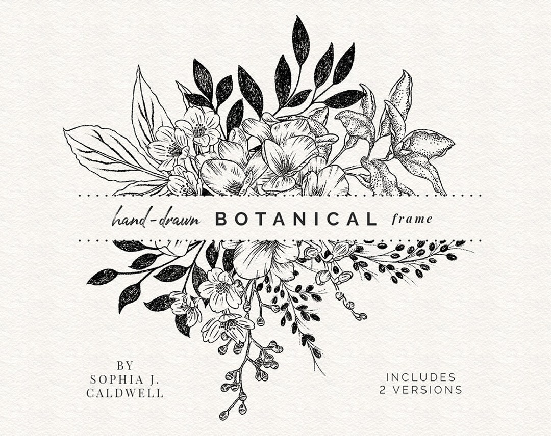 Split Floral Frame PNG, Flower Border, Line Drawing Black White Clipart ...