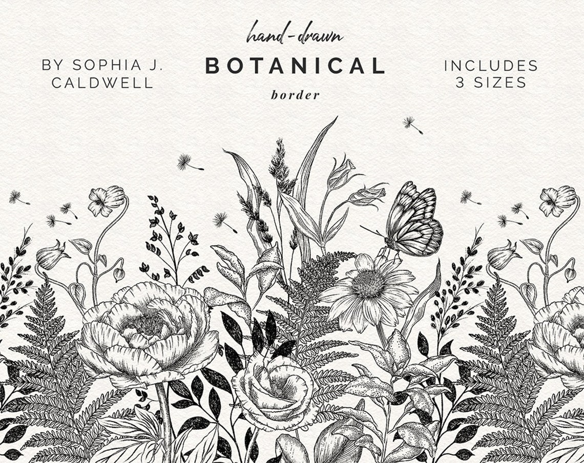 Floral Border PNG Clipart Botanical Line Drawing Frame - Etsy UK