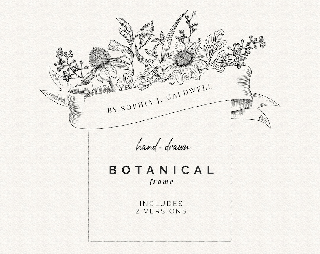 Floral Digital Border Frame, Black and White Hand Drawn Flower PNG ...