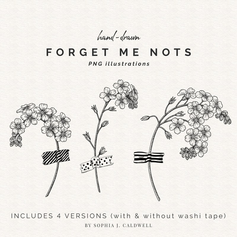 Forget Me Not Flower - Etsy