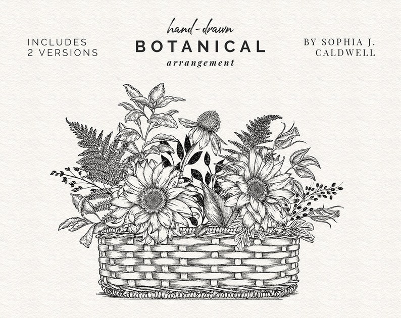 Black and White Line Work Flowers in Basket PNG Gerbera - Etsy