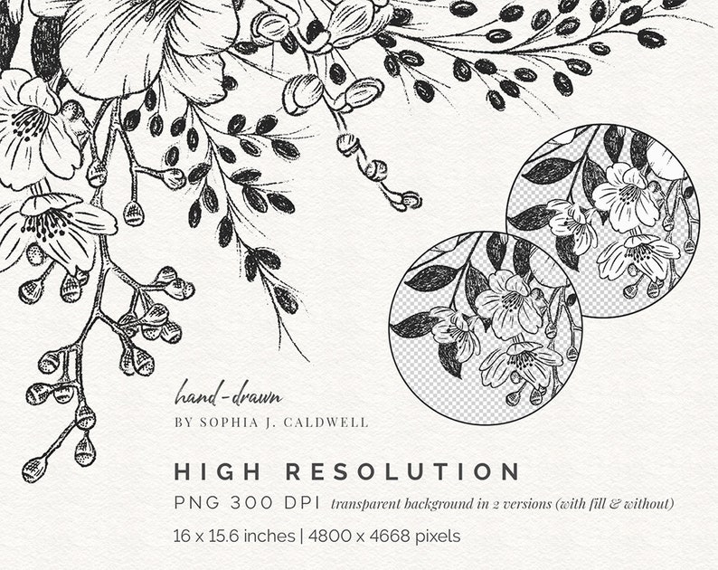 Split Floral Frame PNG Flower Border Line Drawing Black - Etsy