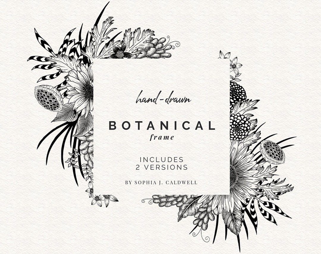 Black And White Daisy Border