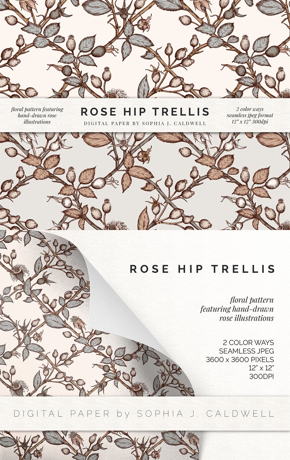 Rose Digital Paper Bundle Floral Pattern Clipart Vintage - Etsy