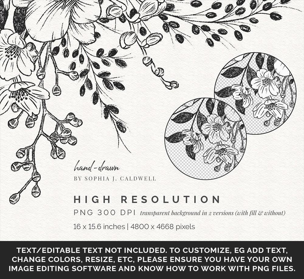 Split Floral Frame PNG, Flower Border, Line Drawing Black White Clipart ...