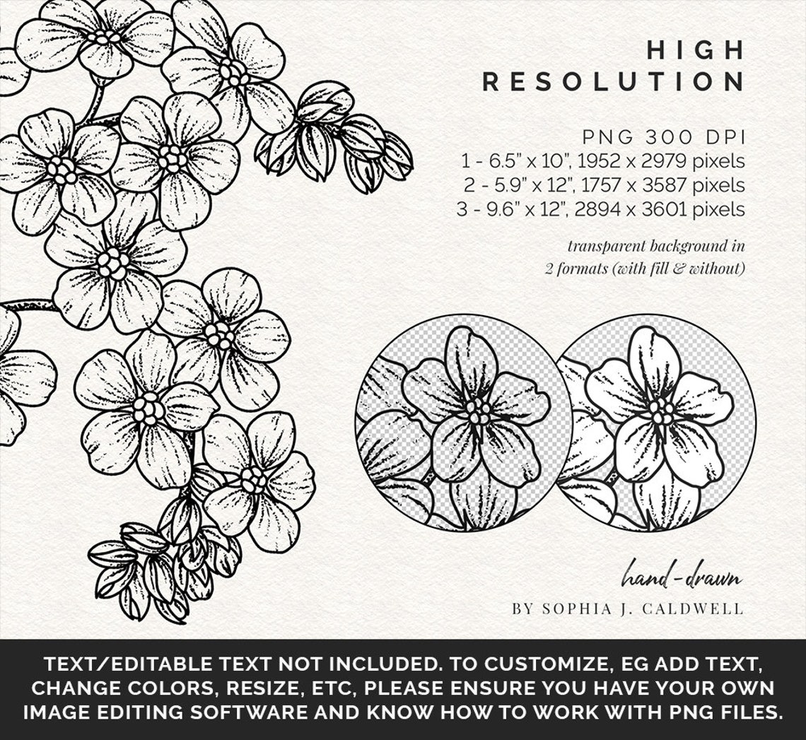 Forget Me Nots Flower Digital Stamps Floral Clipart - Etsy