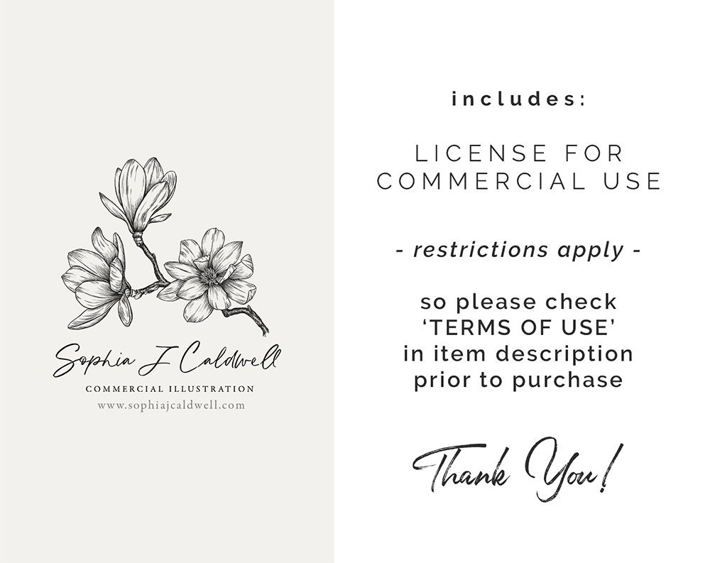 Honey Bee Clipart Digital Stamps Black and White Line | Etsy UK