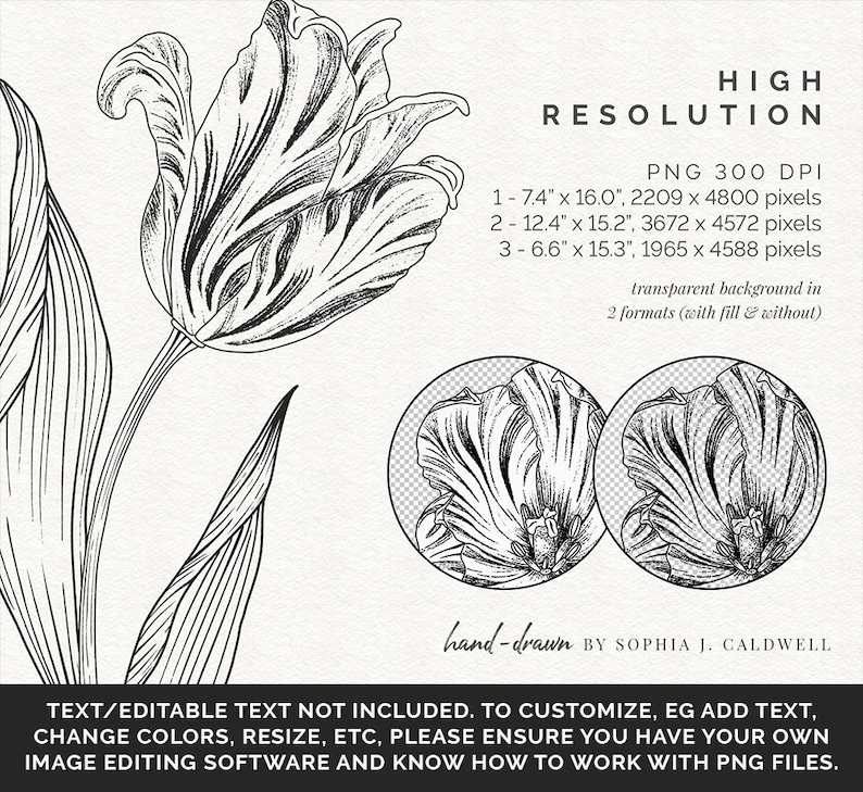 Tulips Flower Clipart Black and White Outline Spring Easter - Etsy