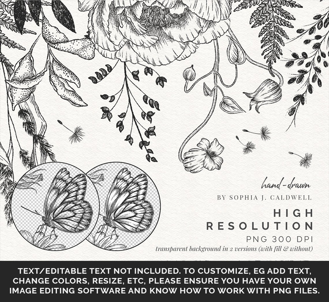 Floral Border PNG Clipart Botanical Line Drawing Frame - Etsy