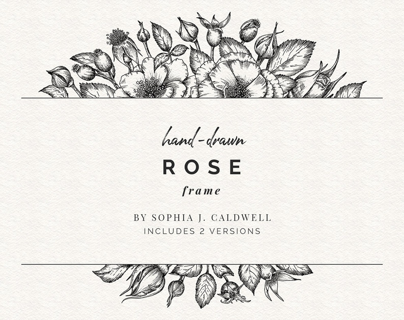 Rose Line Drawing Border Frame Botanical Floral Clip Art - Etsy Canada