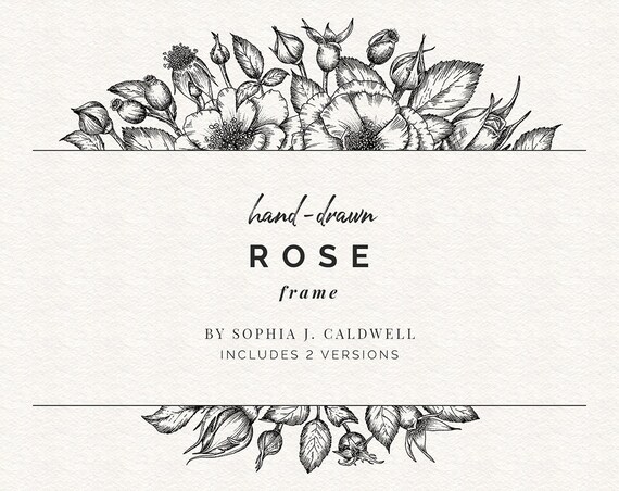 Rose Line Drawing Border Frame Botanical Floral Clip Art - Etsy