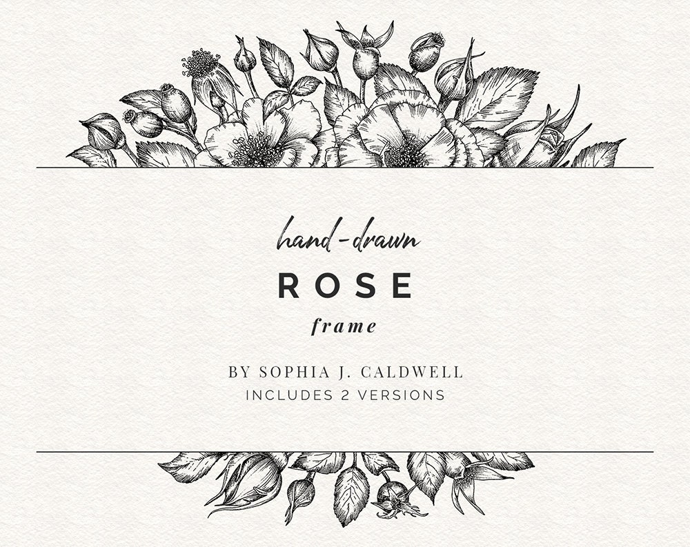 Rose Line Drawing Border Frame Botanical Floral Clip Art - Etsy Canada