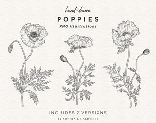 Poppy Logo - Etsy