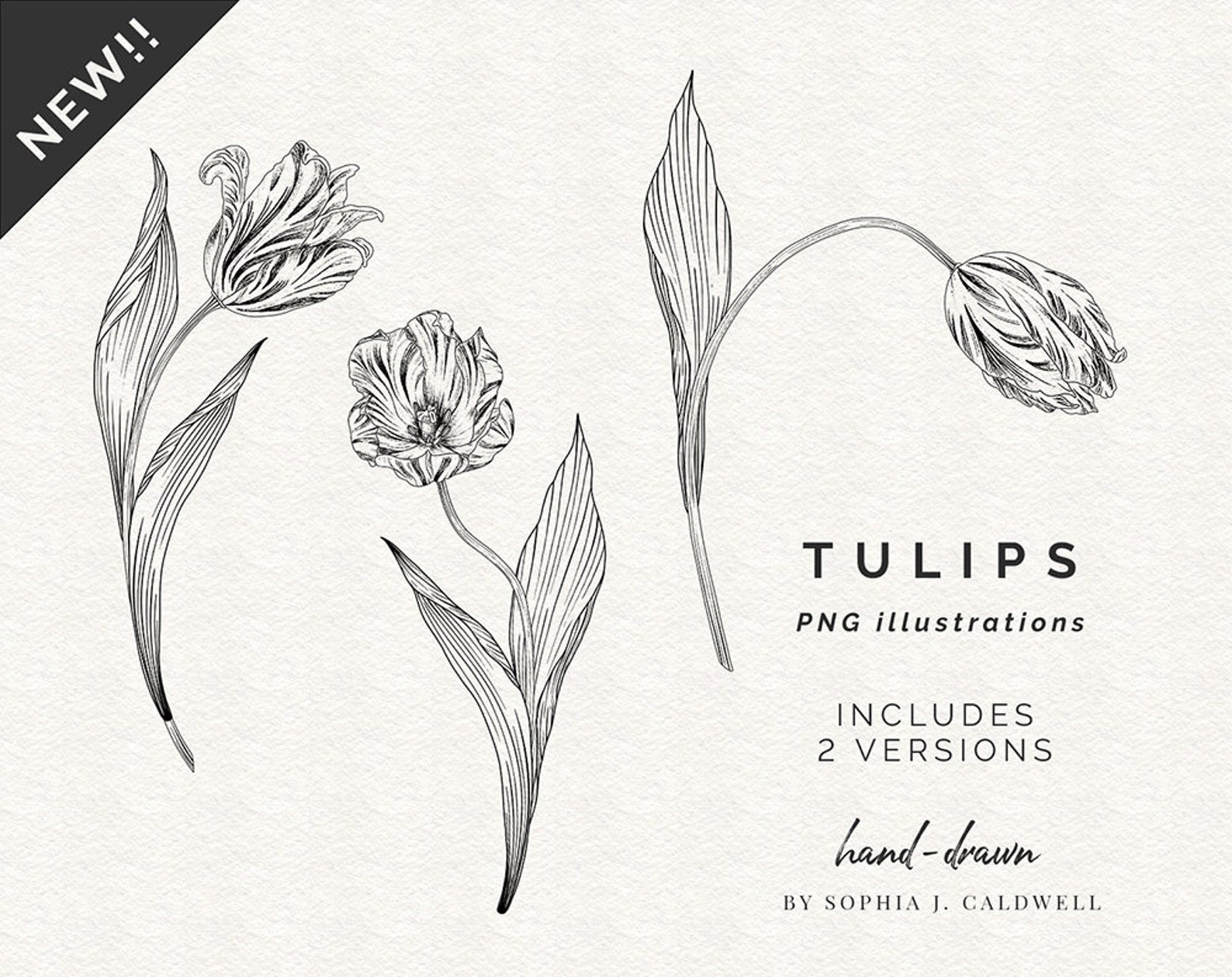 Tulips Flower Clipart Black and White Outline Spring Easter - Etsy