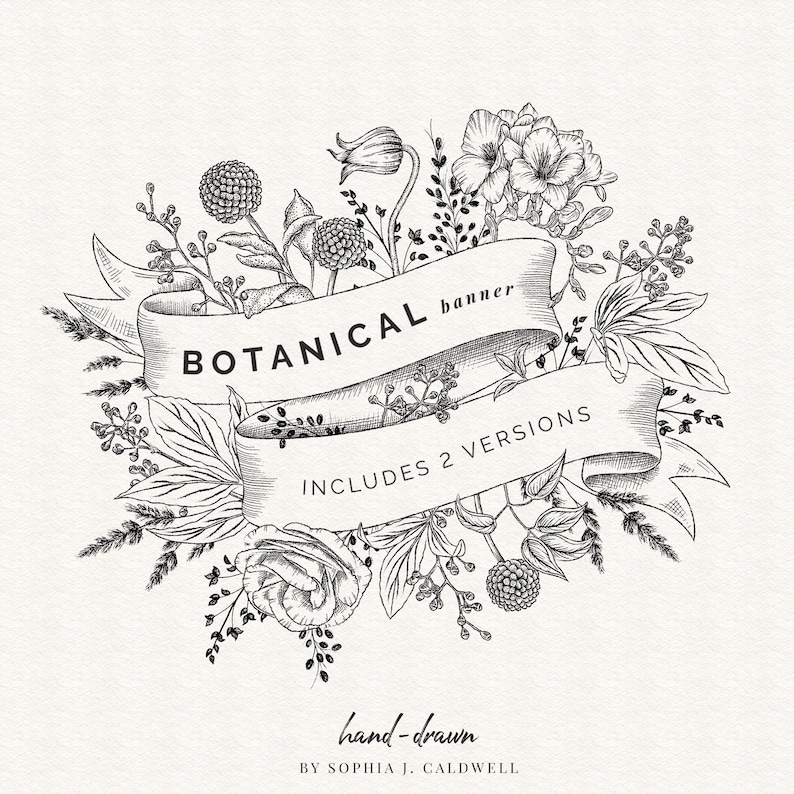 Imágenes prediseñadas de estandarte floral, PNG de flor dibujada a mano ...