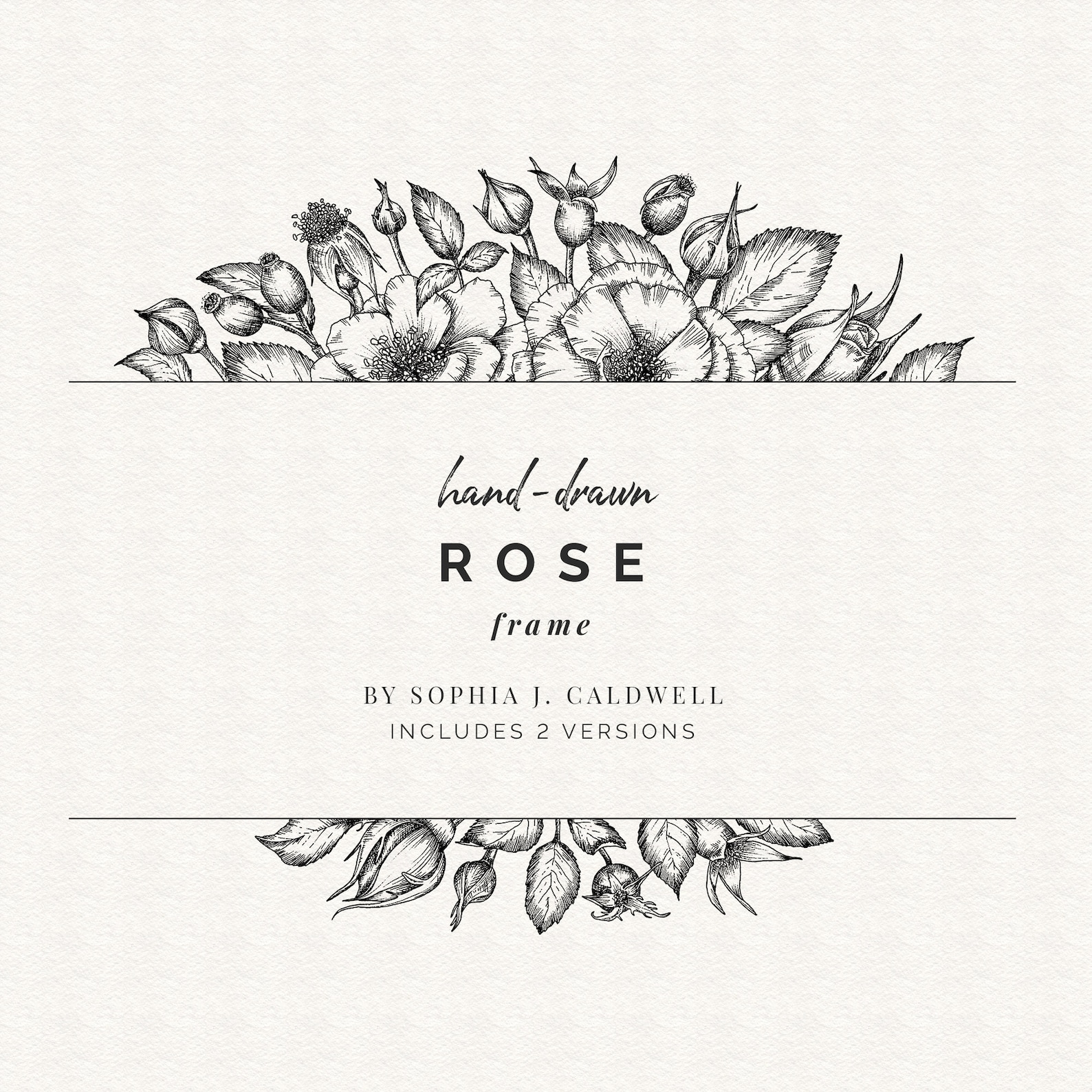 Rose Line Drawing Border Frame, Botanical Floral Clip Art, Black and ...