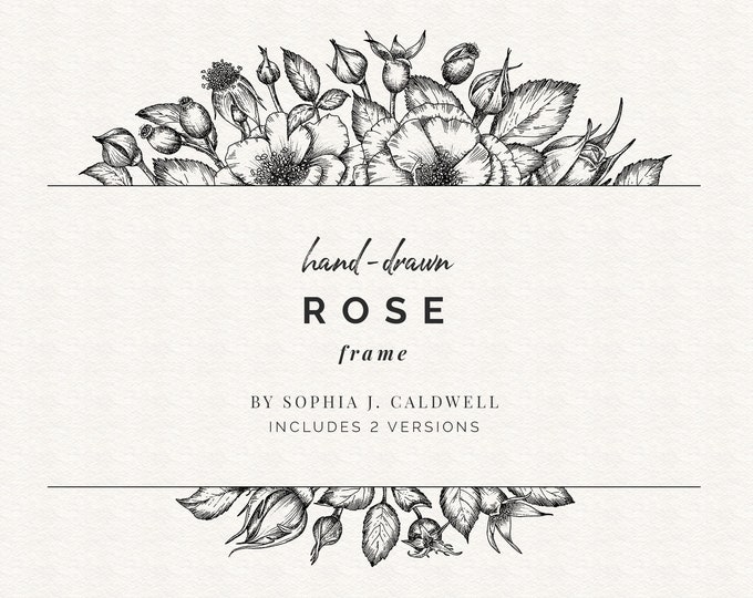 Rose Line Drawing Border Frame, Botanical Floral Clip Art, Black and ...