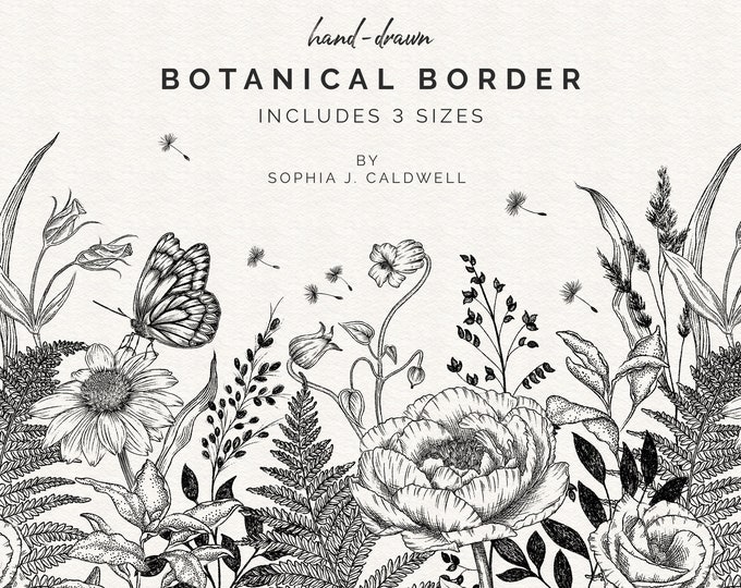 Floral Border PNG Clipart, Botanical Line Drawing Frame, Wildflower Art ...
