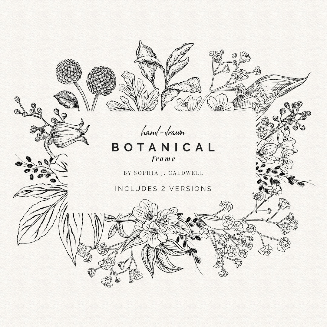 Floral Digital Border Frame, Black and White Hand Drawn Flower PNG ...