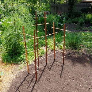 Plant Play Ground - Hardwood Trellis, for Active Plants - Etsy