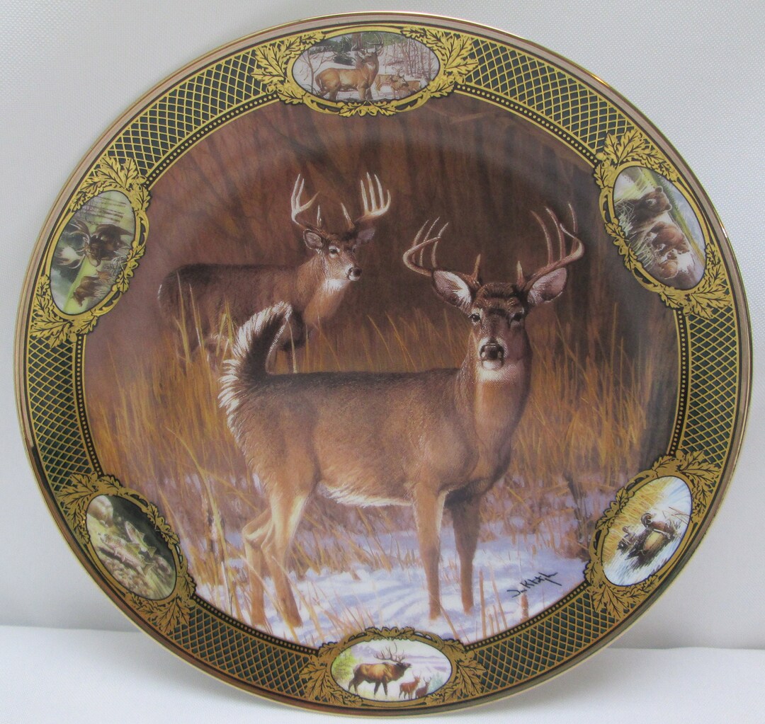 Vintage 10 Point Buck 8" the Franklin Mint Collectors Plate - Etsy